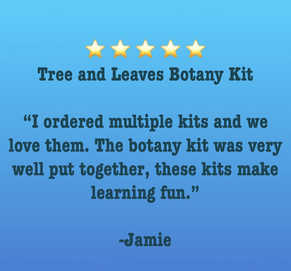 Tree and Leaves Botany Kit – ABC Crate