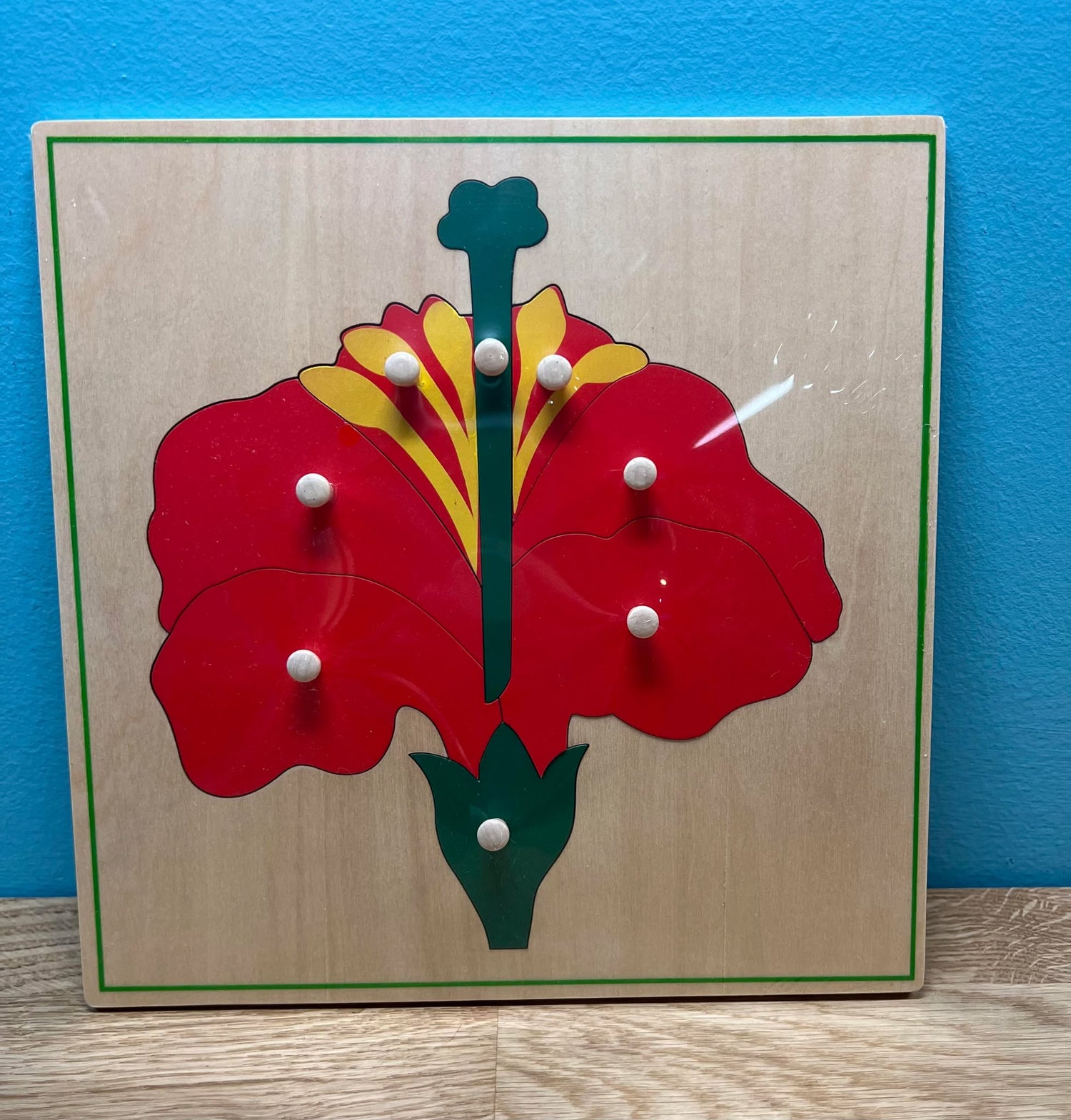 Flower and Seeds Botany Kit – ABC Crate