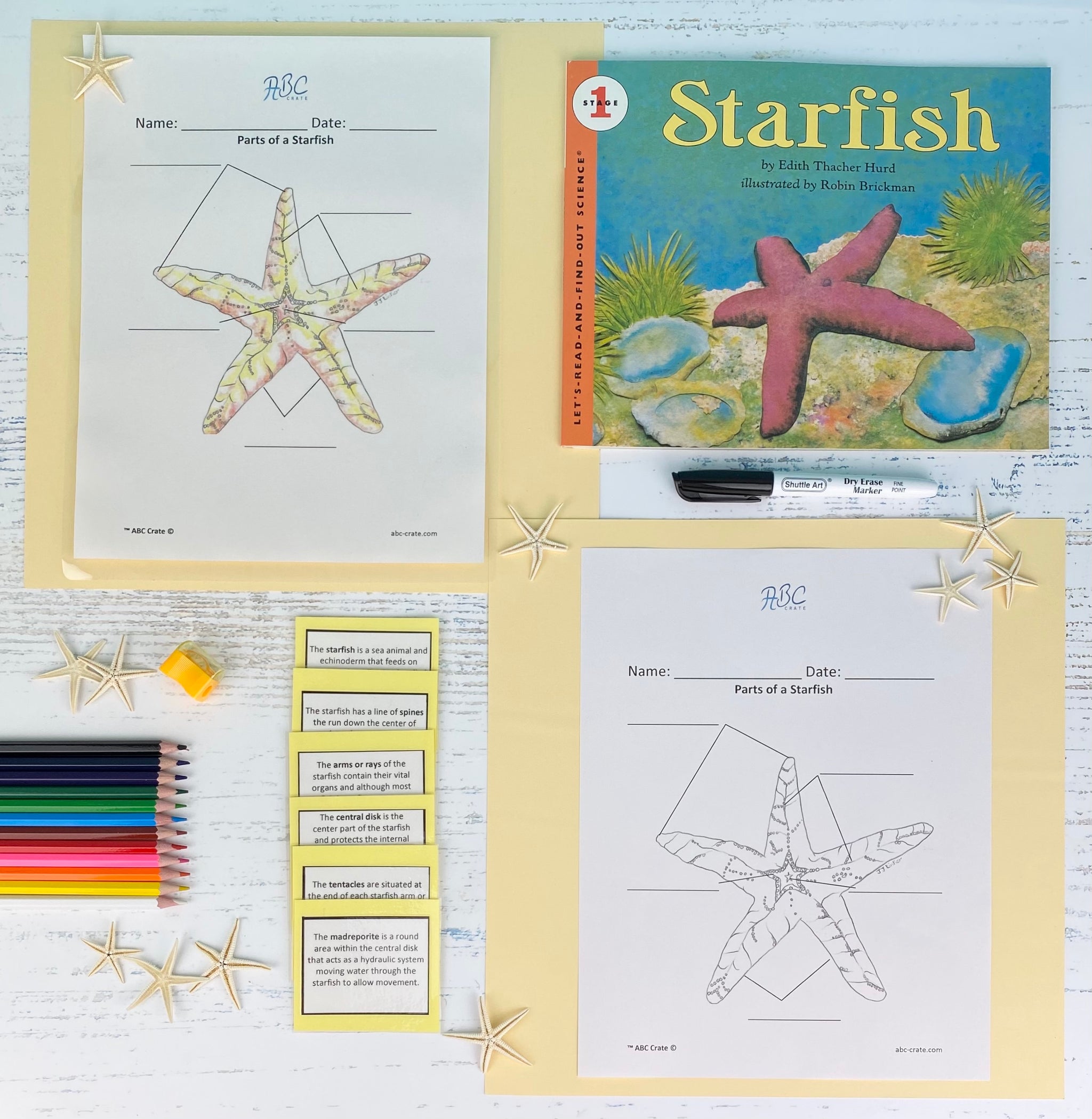 Science Kits – ABC Crate