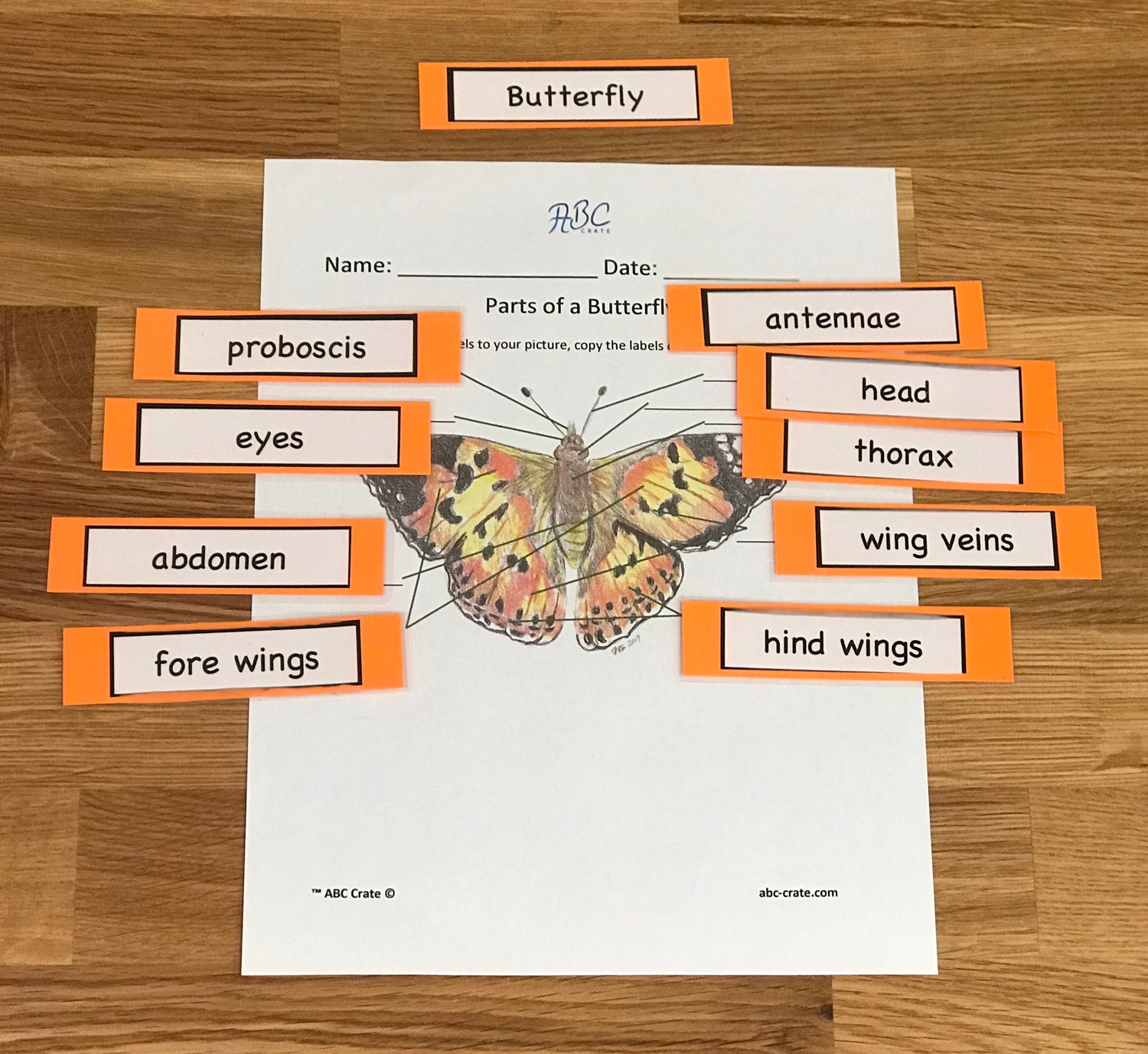 Butterfly Science Kit – ABC Crate