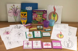 Flower and Seeds Botany Kit – ABC Crate