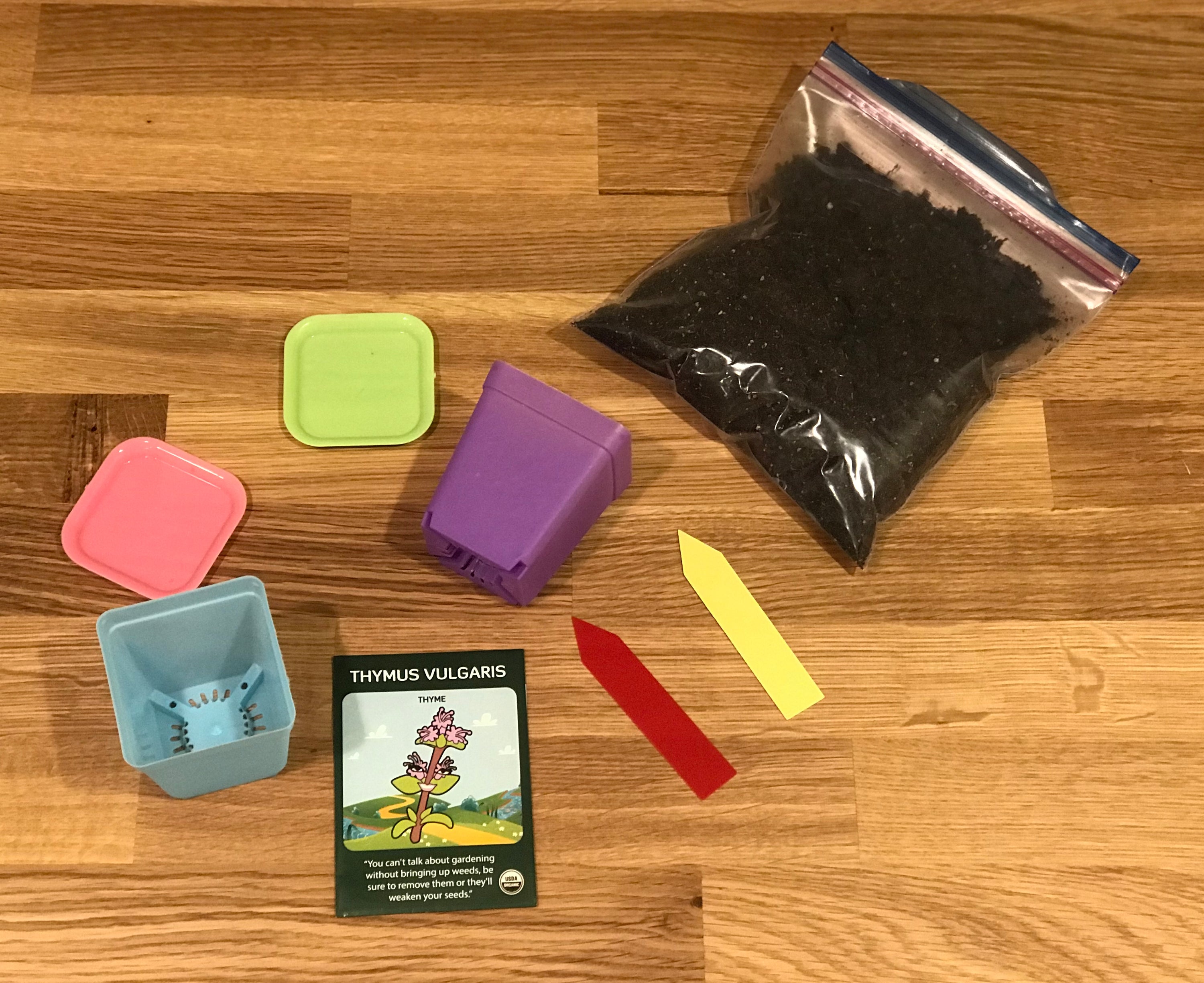 Flower and Seeds Botany Kit – ABC Crate