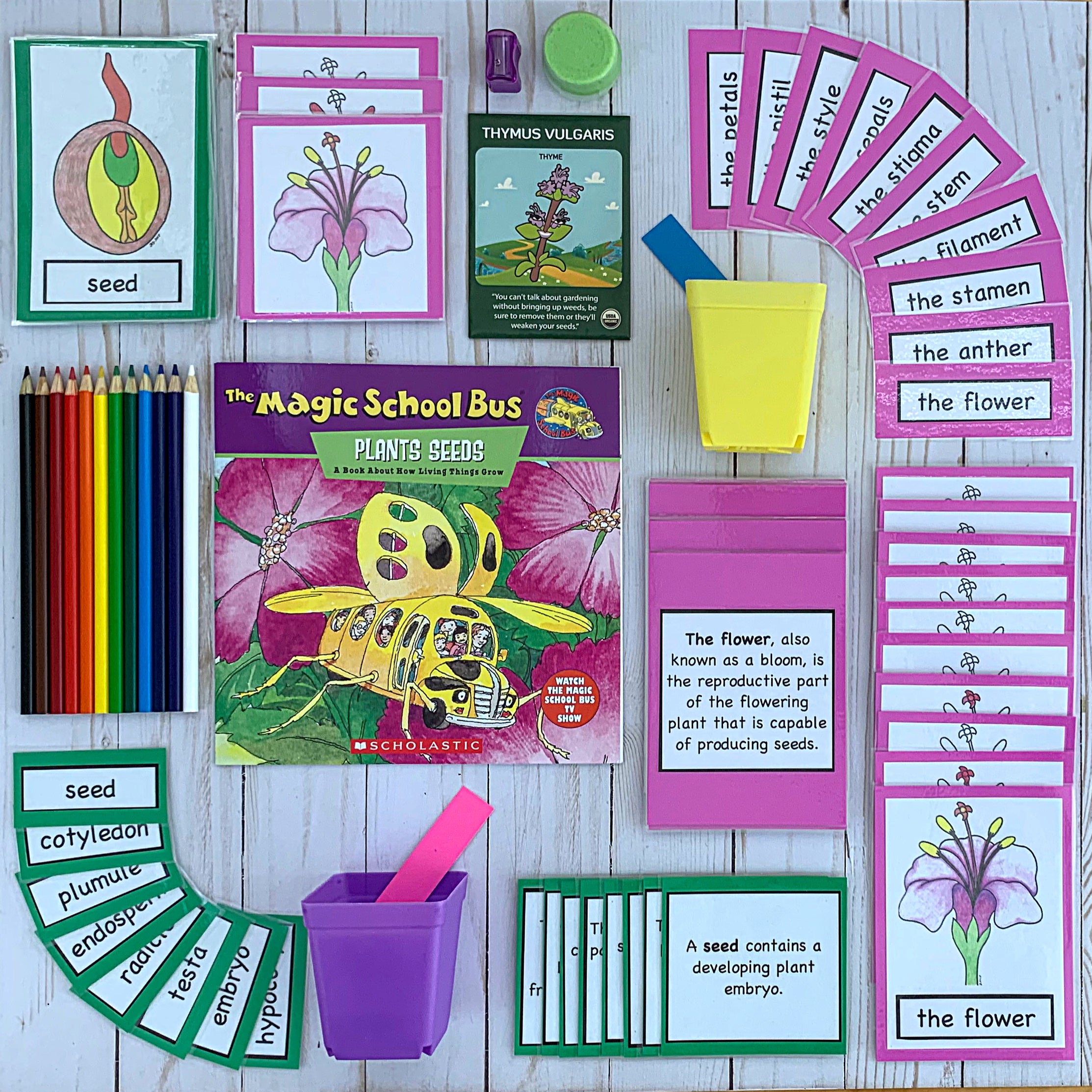 Flower and Seeds Botany Kit – ABC Crate